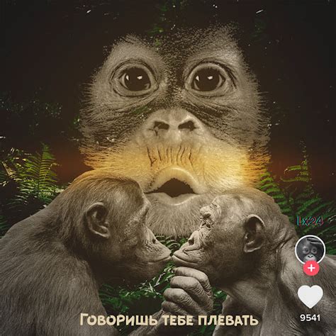 Танцы под луной Slowdown Remix Youtube Music