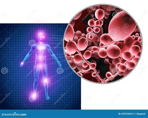 Candida Species Membrane Structure Vector Illustration Cartoondealer