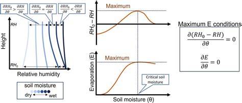 Conceptual Framework Of Two Mathematical Constraints Of The Alternative