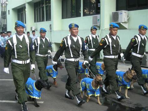 Complete Sets Of Indonesian Military And Police Camouflage Patterns