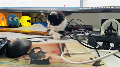 What Is Cat Oriented Programming Algorithms Blockchain And Cloud