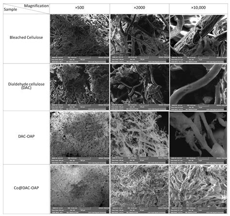Schiff Base Functionalized Cellulose Towards Strong Support Cobalt Nanoparticles Interactions
