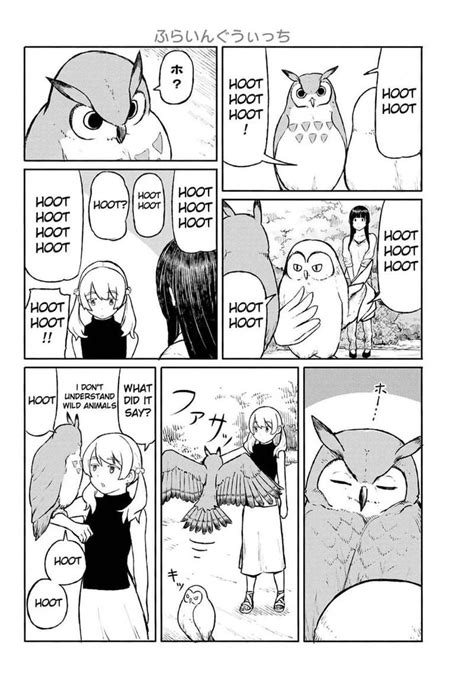 Hoot Hoot 9gag
