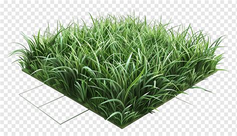 Grassland Green Grass Patch Png Pngwing
