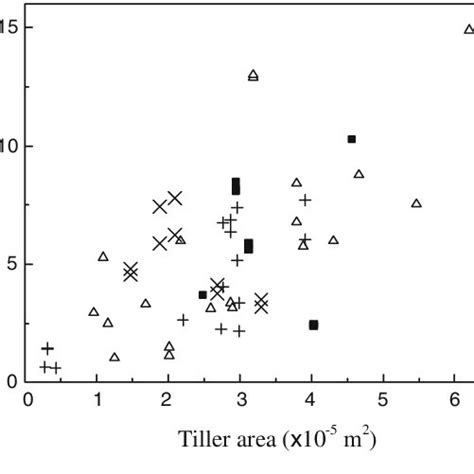 Interference Contrast Picture Of The Rootshoot Transition Zone Taken Download Scientific