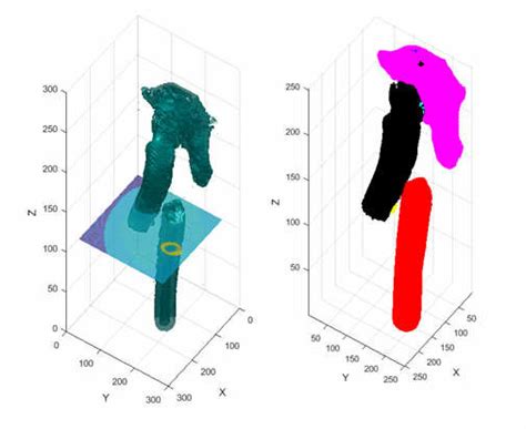 Segmentation By Thresholding Left And Labeling Of Connected Download Scientific Diagram