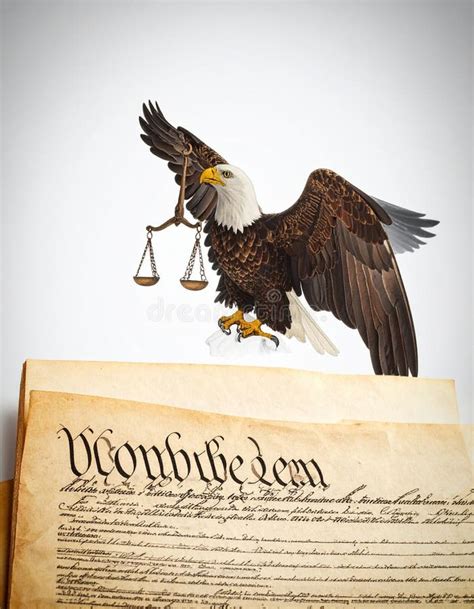Bald Eagle Upholding American Law And Justice Stock Illustration