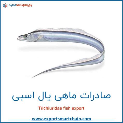 صادرات ماهی شرایط، نحوه و سود صادرات ماهی ایران