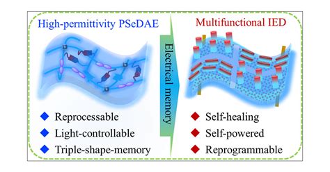 Light Controlled Triple Shape Memory High Permittivity Dynamic Elastomer For Wearable