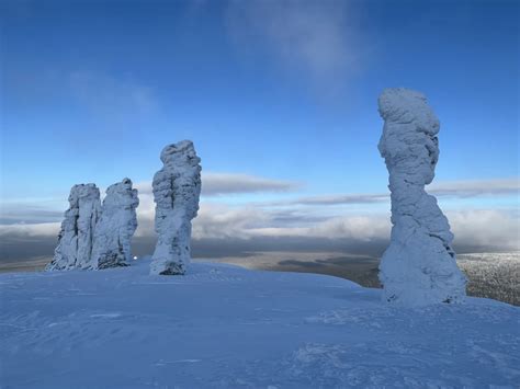 Гастрономические туры в Екатеринбурге по барам кафе или на дегустации 2025 цены отзывы