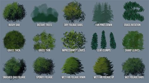 Foliage Custom Tree Brushes For Photoshop Adobe Fresco YouTube