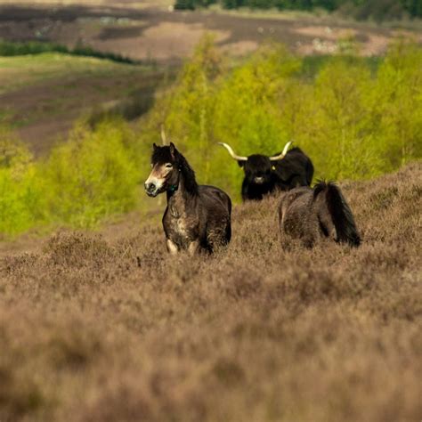 Hepple Wilds Art Workshop Whats On High Life North Look Good Feel Good Work Hard