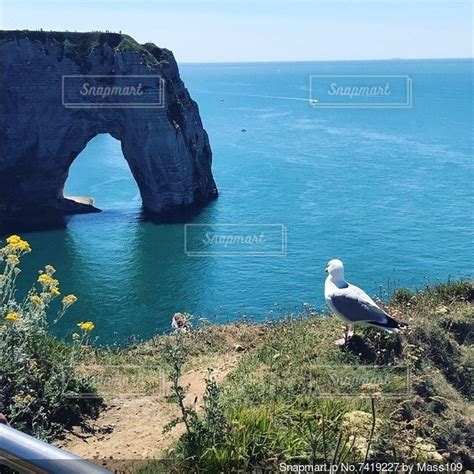 エトルタとカモメの写真画像素材 7419227 Snapmartスナップマート