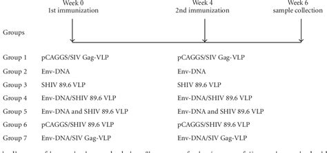 Figure 2 From Immunization With A Mixture Of Hiv Env Dna And Vlp
