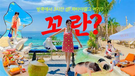 구독자 이벤트🎁 파타야에서 1000원만 주면 돼지있는 핫한 섬 데려다줌🏝️ 태국 코란 신상 핫플 And 풀빌라 뿌시기 여행 Kohlarn Vlog Youtube