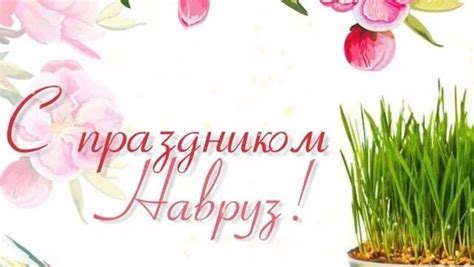 Навруз Байрами Муборак Красивое поздравление с Наврузом Navroz Bayrami Muborak Смотреть