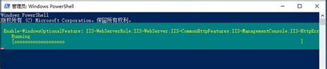 新版windows Server 2019的iis配置websocketwin2019 Websocket Csdn博客