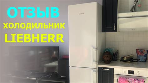 Холодильник LIEBHERR (Либхер) 4815 отзывы от покупателя - YouTube