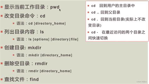 Linux基本知识 Csdn博客