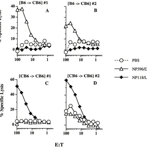 Recombinant Vaccinia Virus Infection Elicits Ctl Responses Only To
