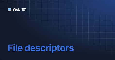 file descriptors web 101