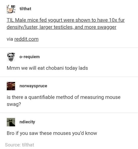They Had Big Dick Energy Rtumblr