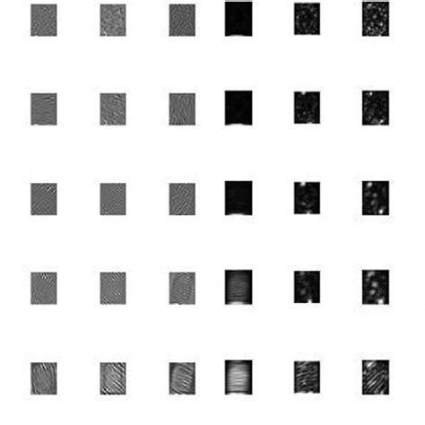 Gabor Filter A Real Part B Imaginary Part Download Scientific