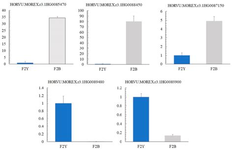 Expression Validation Of Candidate Genes By Rt Qpcr The Actin Gene Was Download Scientific