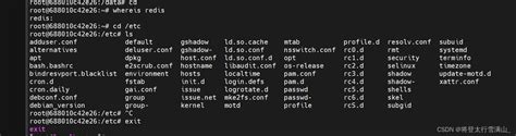 自存 Docker里的创建的redis Nf没有怎么办下载的 Redis 无 Nf Csdn博客