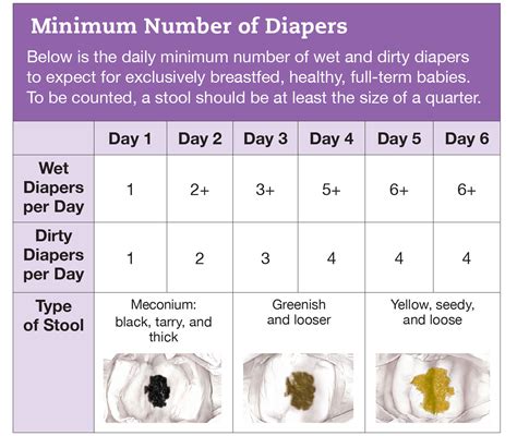 Understanding Your Newborn Eclass Stool And Urine Patterns Saint