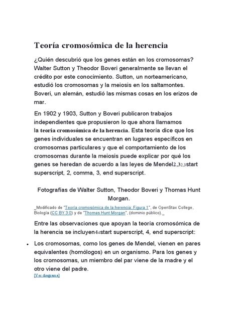 Teoría Cromosómica De La Herencia Pdf Drosophila Melanogaster