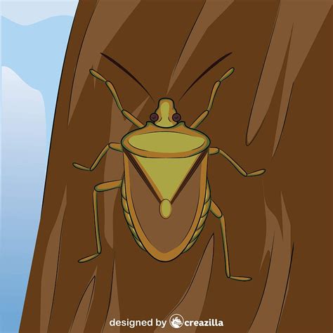 Brown Marmorated Stink Bug Vector Free Download Creazilla