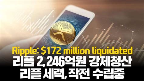리플 2246억원 강제 청산 “리플 세력의 새 판 짜기” Youtube