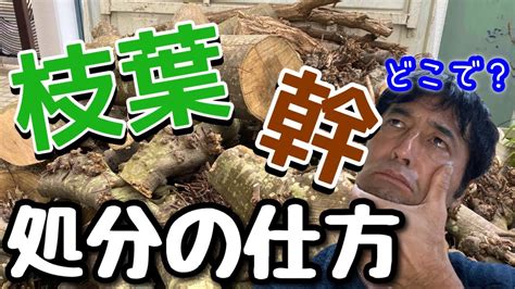 剪定ゴミの処分【分別が必要です】剪定枝葉処理。 Youtube