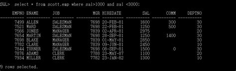 Oracle Sql开发where子句之case When 阿里云开发者社区
