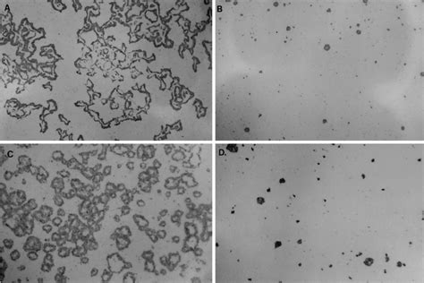 susceptibility of cells with partial sorting defects to p aeruginosa