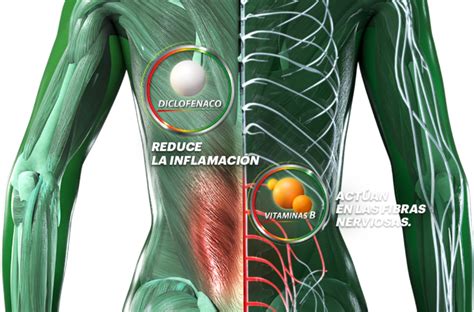 Infórmate Sobre Dolo Neurobión® Y Sus Componentes