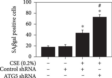 The Expression Profile Of Heat Shock Protein 27 And Glucose 6 Phosphate