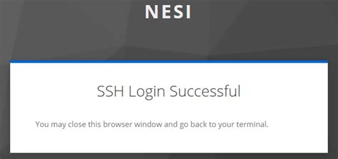 git bash windows nesi support documentation