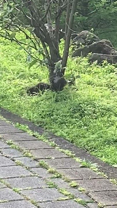 Ccccccccccccccccccccccc Youtube