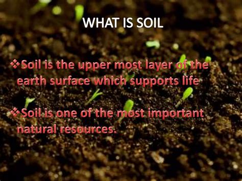 Soil Question And Answers PPTX