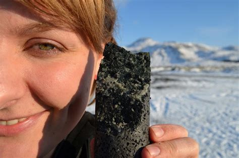 Icelandic Power Plant Transforms Carbon Emissions Into Stone