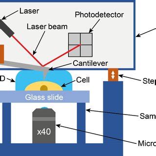 Schematic Representation Of An Atomic Force Microscope AFM Instrument