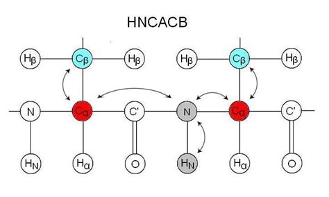 Triple Resonance Nuclear Magnetic Resonance Spectroscopy Alchetron