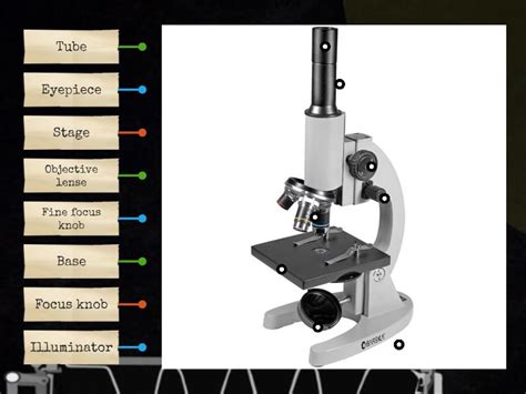Label The Diagaram 7th Standard Made By Shilpa Patil Labelled Diagram