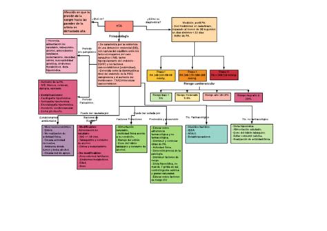 Mapa Conceptual Integrador Pdf Enfermedades Y Trastornos