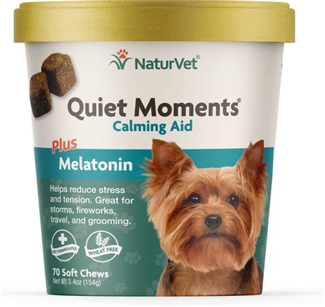 The 12 Best Calming Treats For Dogs