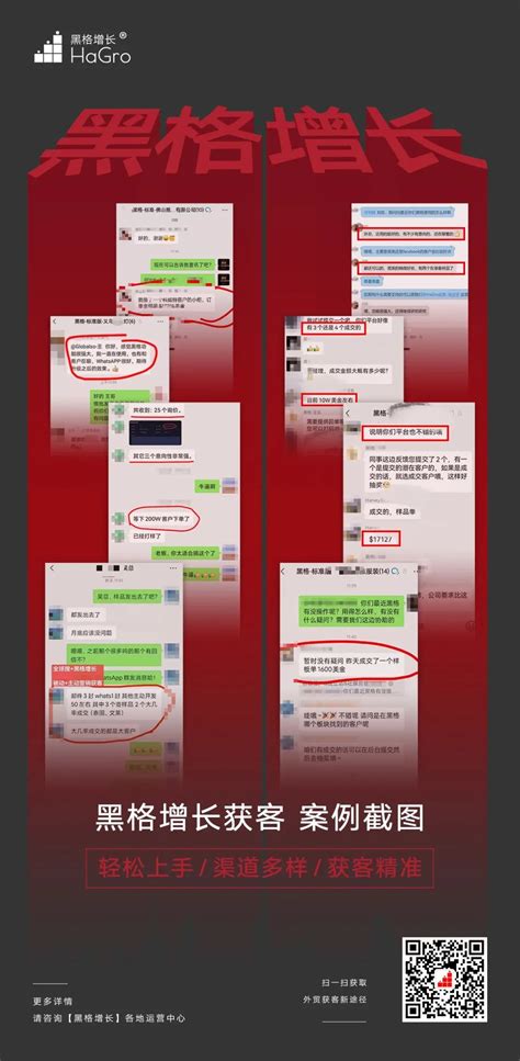 【黑格增长】ai询盘获客，销冠都在用！ Hagro