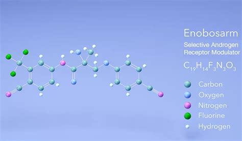 “selective Androgen Receptor Modulators Sarms What You Need To Know