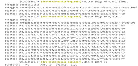 Dockerイメージを一覧表示削除するにはlsコマンドとrmコマンドの使い方を紹介 テックパンプ